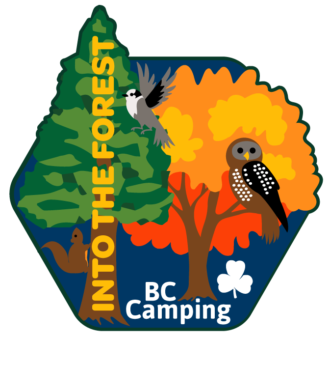 Volunteer as Core Staff - Lougheed Area Girl Guides